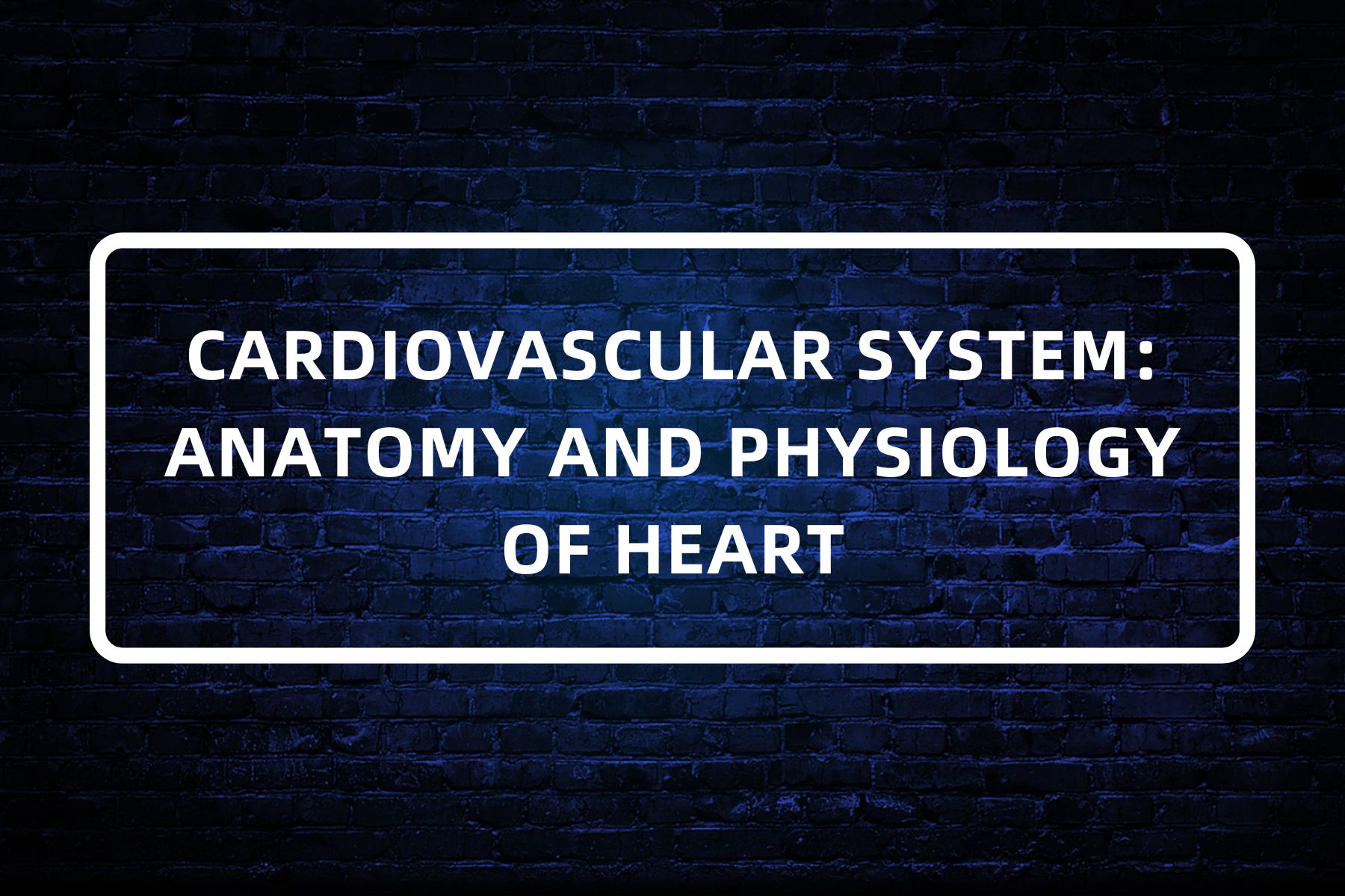 11. CARDIOVASCULAR SYSTEM - ANATOMY AND PHYSIOLOGY OF HEART - DPHARM GURU