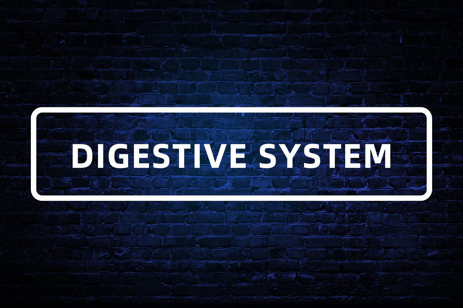 13. DIGESTIVE SYSTEM - DPHARM GURU