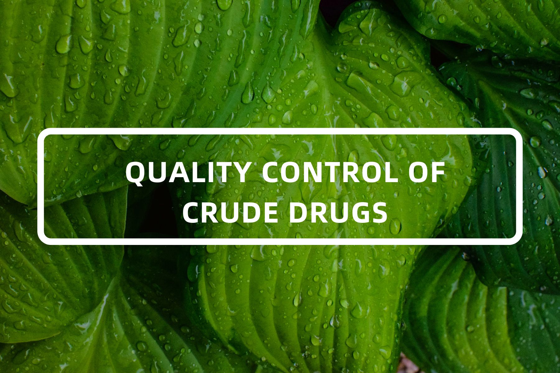 3. QUALITY CONTROL OF CRUDE DRUGS - DPHARM GURU