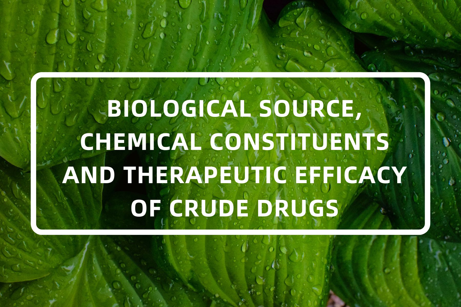 5. BIOLOGICAL SOURCE, CHEMICAL CONSTITUENTS AND THERAPEUTIC EFFICACY OF ...