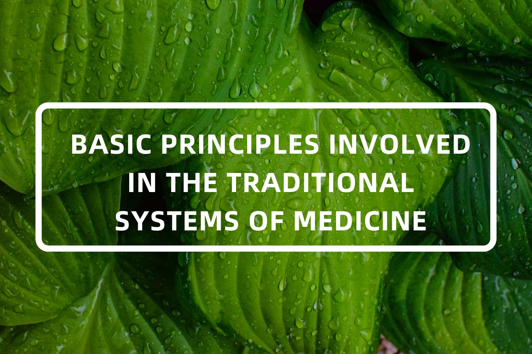 7. BASIC PRINCIPLES INVOLVED IN THE TRADITIONAL SYSTEMS OF MEDICINE ...
