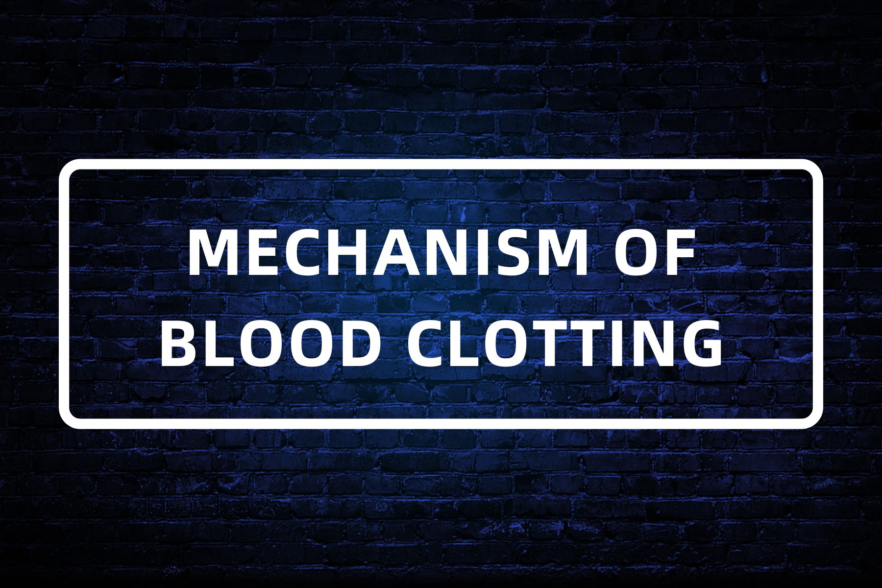 8. MECHANISM OF BLOOD CLOTTING - DPHARM GURU