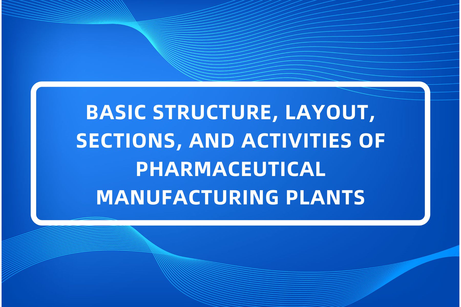 20. BASIC STRUCTURE, LAYOUT, SECTIONS, AND ACTIVITIES OF PHARMACEUTICAL ...